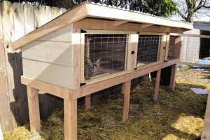 25 DIY Rabbit Cage Plans For Indoor And Outdoor - Susie Harris