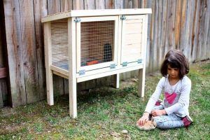 25 DIY Rabbit Cage Plans For Indoor And Outdoor - Susie Harris