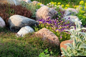 21 DIY Rock Garden Ideas For Decorating - Susie Harris
