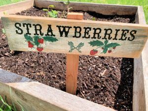 35 Charming Garden Signs DIY - Susie Harris