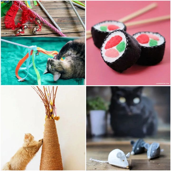 25 DIY Cat Toys That Anyone Can Make - Susie Harris