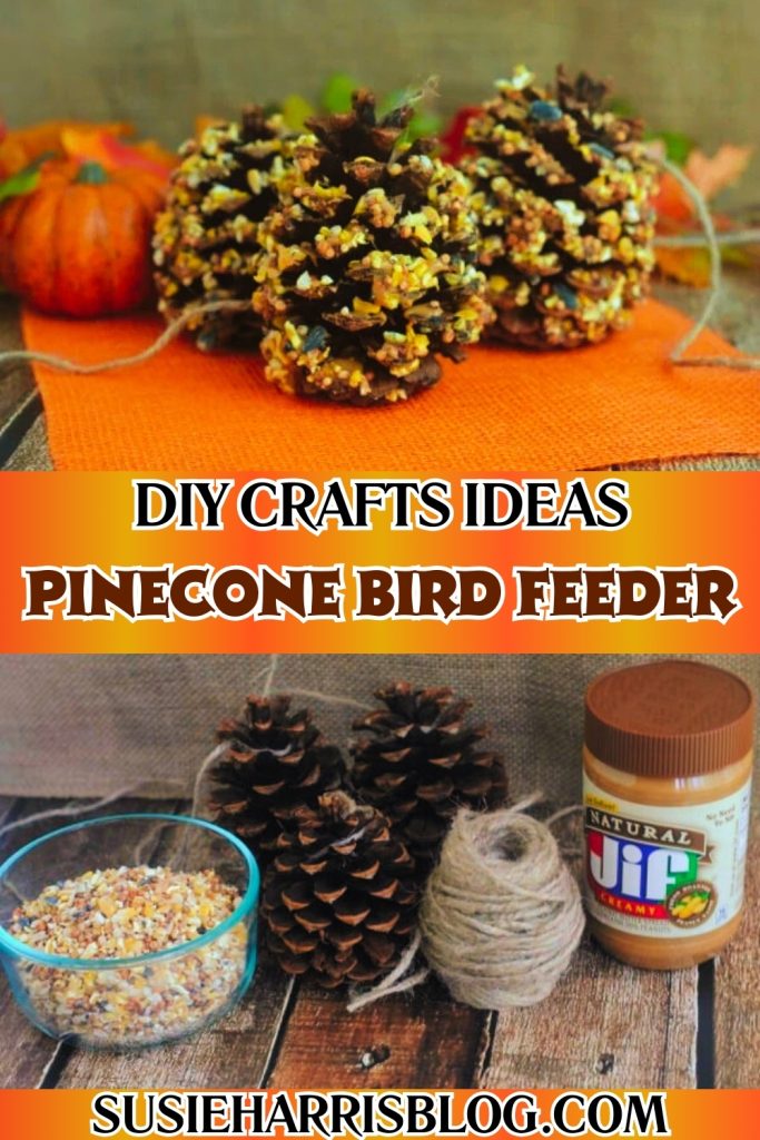 12 Different DIY Bird Feeder Crafts - Susie Harris