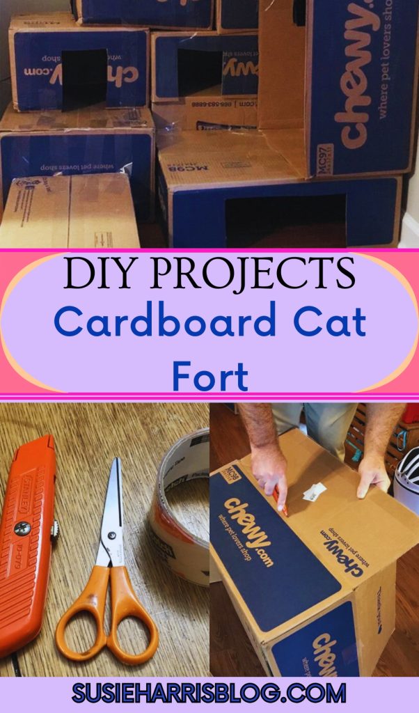 15 DIY Cat Playhouse Ideas - Susie Harris